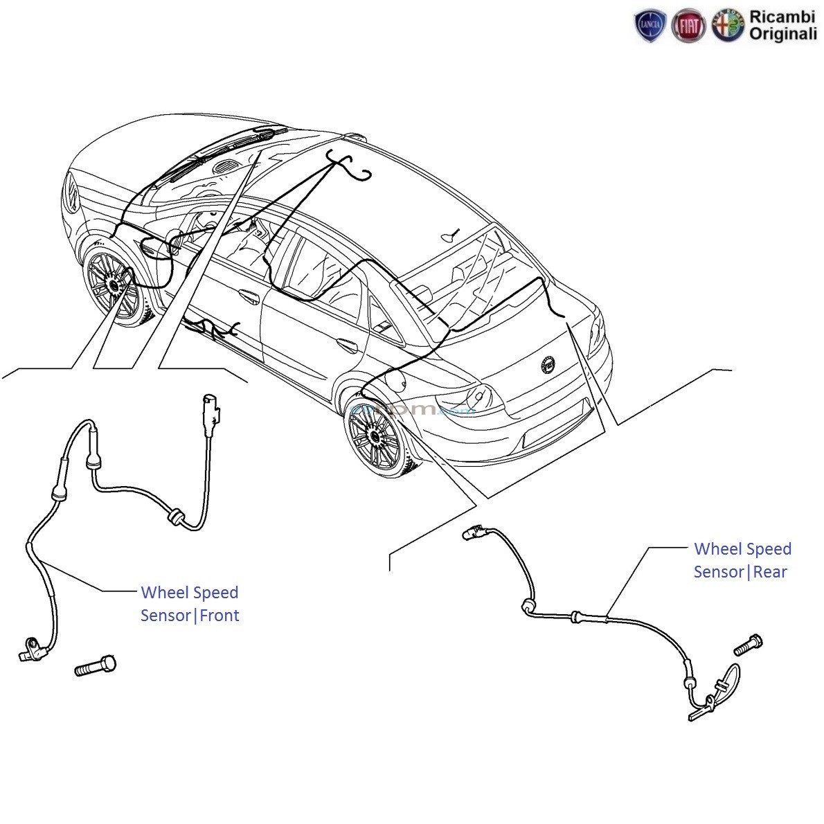 FIAT Linea : Wheel Speed Sensors