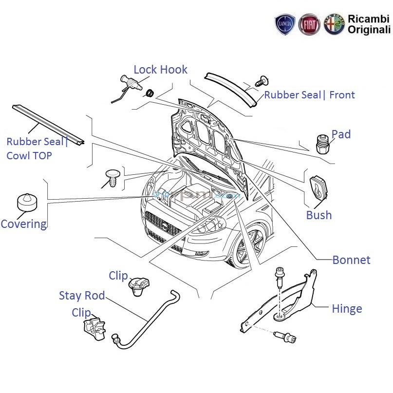 FIAT Linea: Bonnet/ Hood, Lock & Hinges