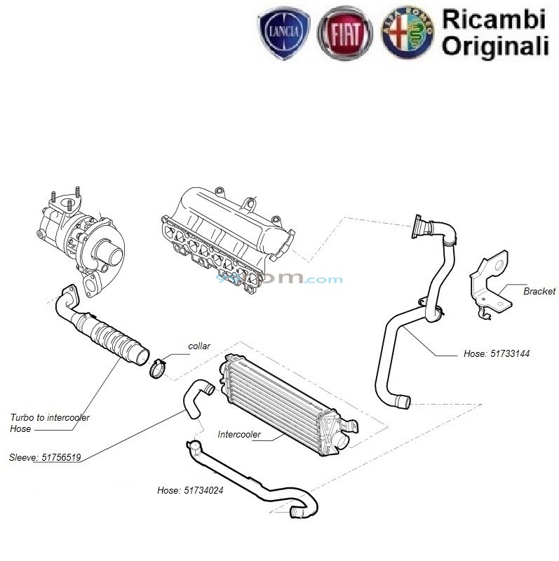 Intercooler and associated hoses for Fiat Palio Stile with 1.3 multijet ...