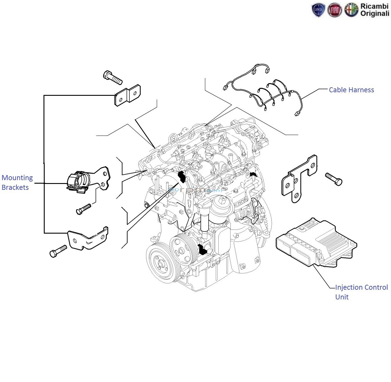 FIAT Linea 1.3 MJD Diesel: Fuel Injection Control Unit and Cable Harness
