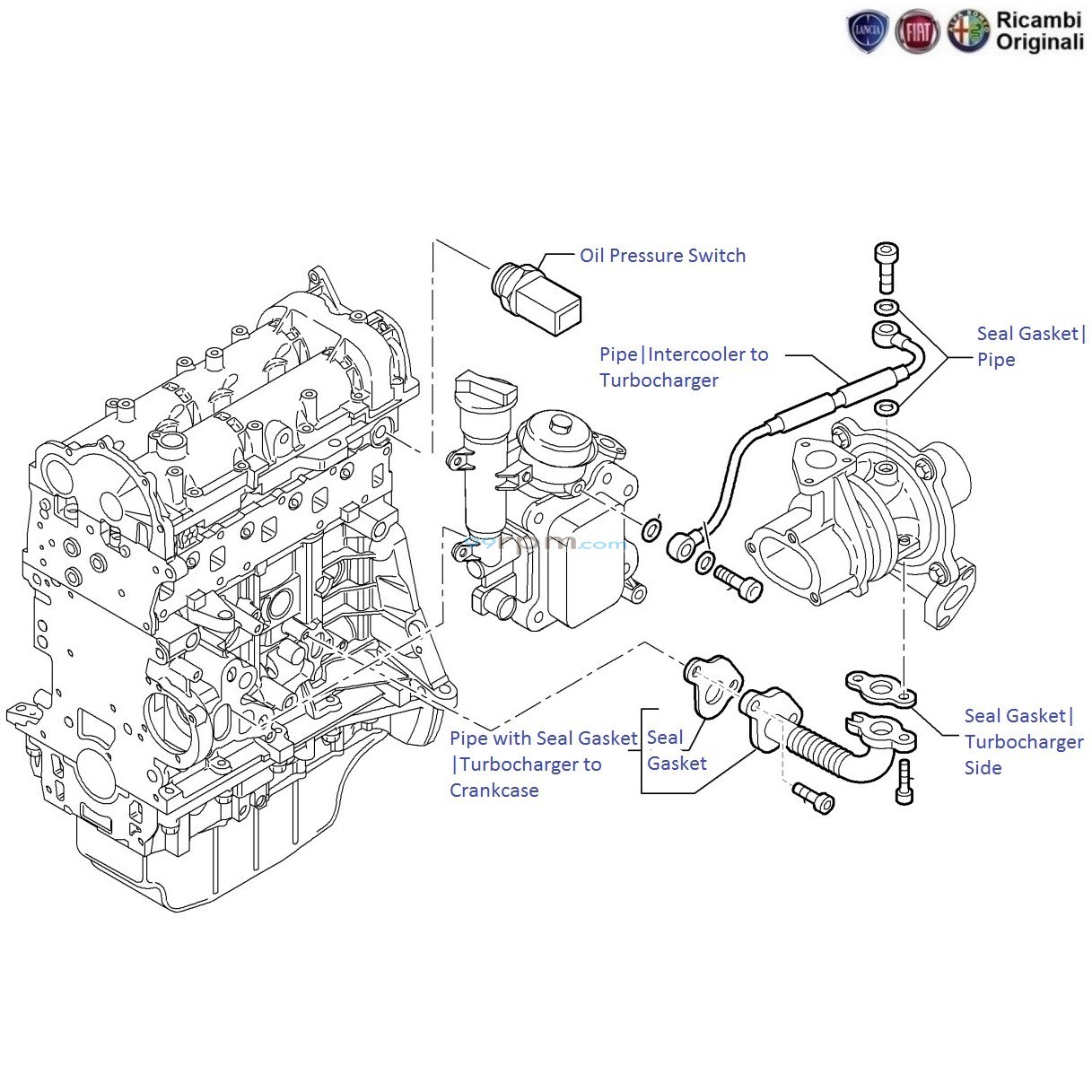 FIAT Linea 1.3 MJD Diesel: Oil Pressure Switch & Pipes