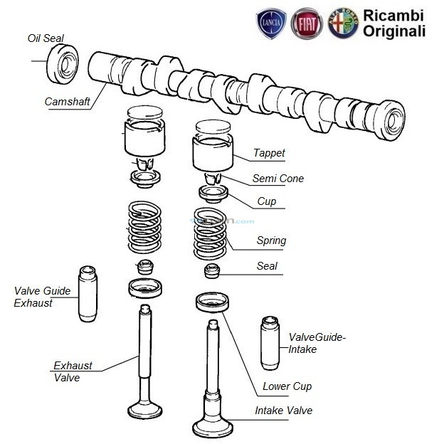 Fiat Palio 1.2 Petrol: Camshaft and Engine Valve, Seals