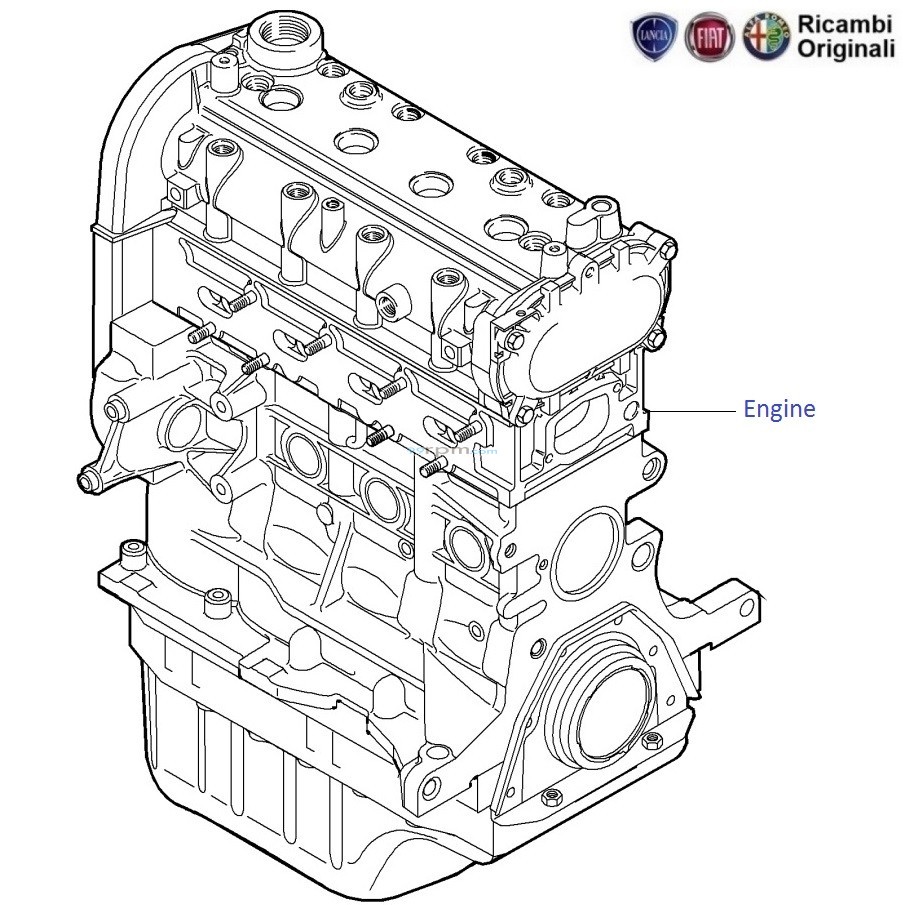 FIAT Linea 1.4 FIRE Petrol: Complete & Bare Engine