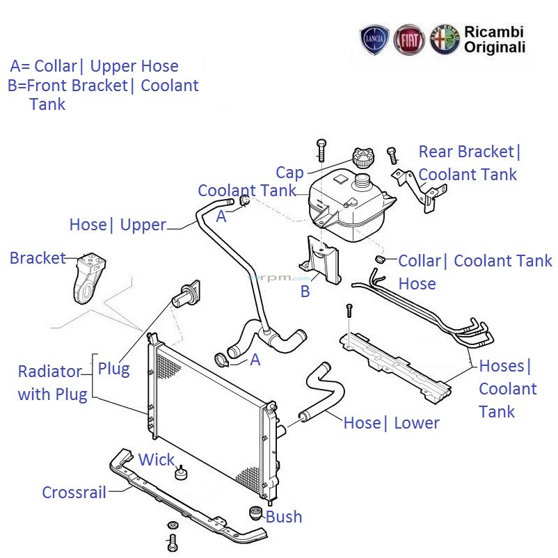 FIAT Palio Stile 1.3 MJD: Radiator & Hoses