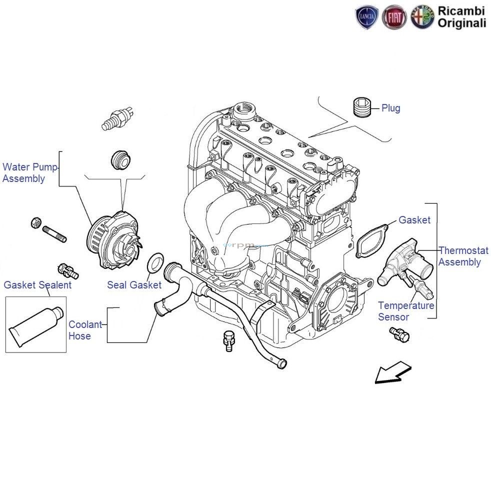 FIAT Grande Punto 1.4 FIRE: Water Pump & Thermostat