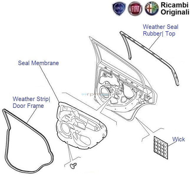Fiat Grande Punto Door rubber weather seal| Rear Right Door