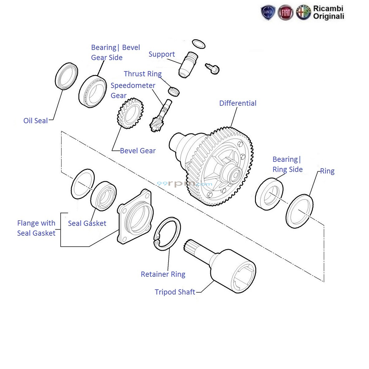 FIAT Palio 1.2 Petrol: Differential