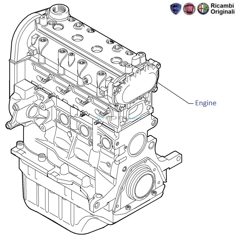 FIAT Punto 1.3 MJD Complete Engine Bare Engine