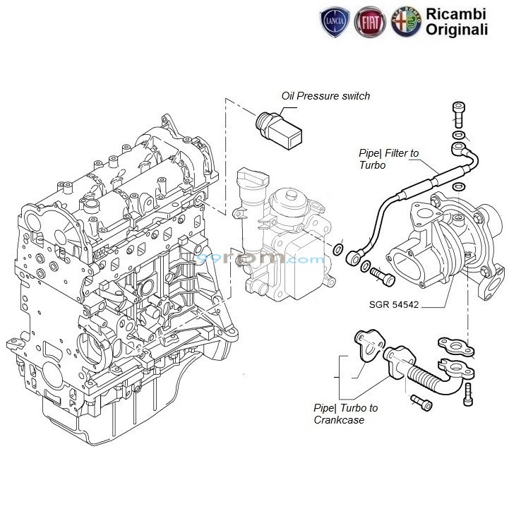 Oil Pressure switch: FIAT Palio Stile1.3 multijet diesel