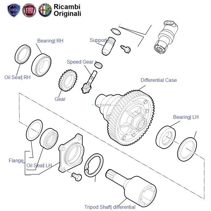 Fiat Palio, Petra, Adventure 1.9D: Axle Differential & Oil Seal