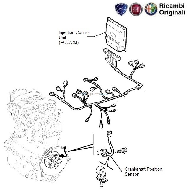 Fiat Palio 1.9D Diesel: ECU/ECM
