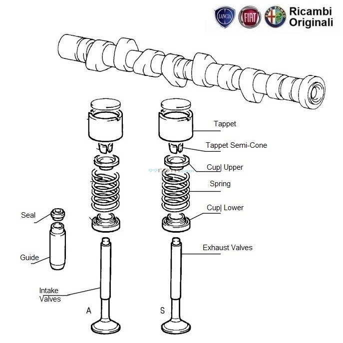 Engine Valves & Guides: FIAT Uno 1.7 Diesel