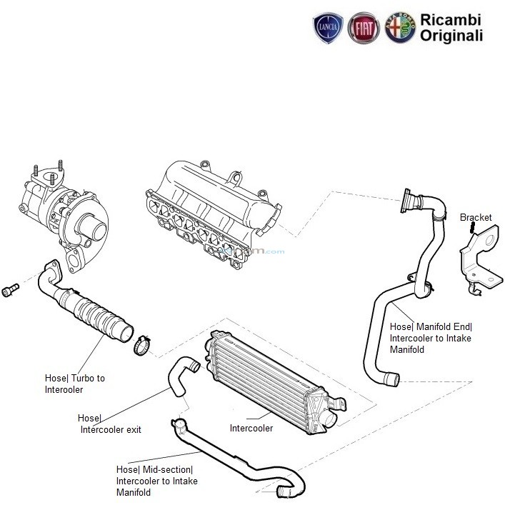 FIAT Palio Stile 1.3 Multijet Diesel: Turbo Intercooler & Hoses