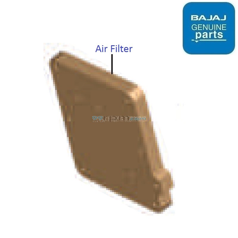 Bajaj Pulsar 135LS UG BS4 DTSi: Air Filter