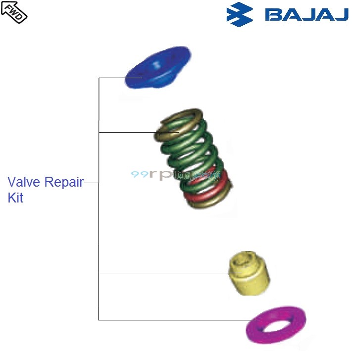 Bajaj Pulsar RS200 (BS3, 2015-16): Valve Repair Kit