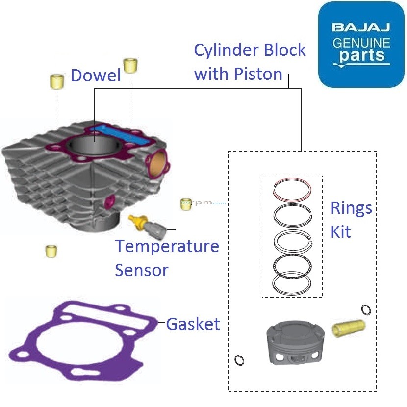 Bajaj Pulsar NS160 (2017-18): Cylinder Block