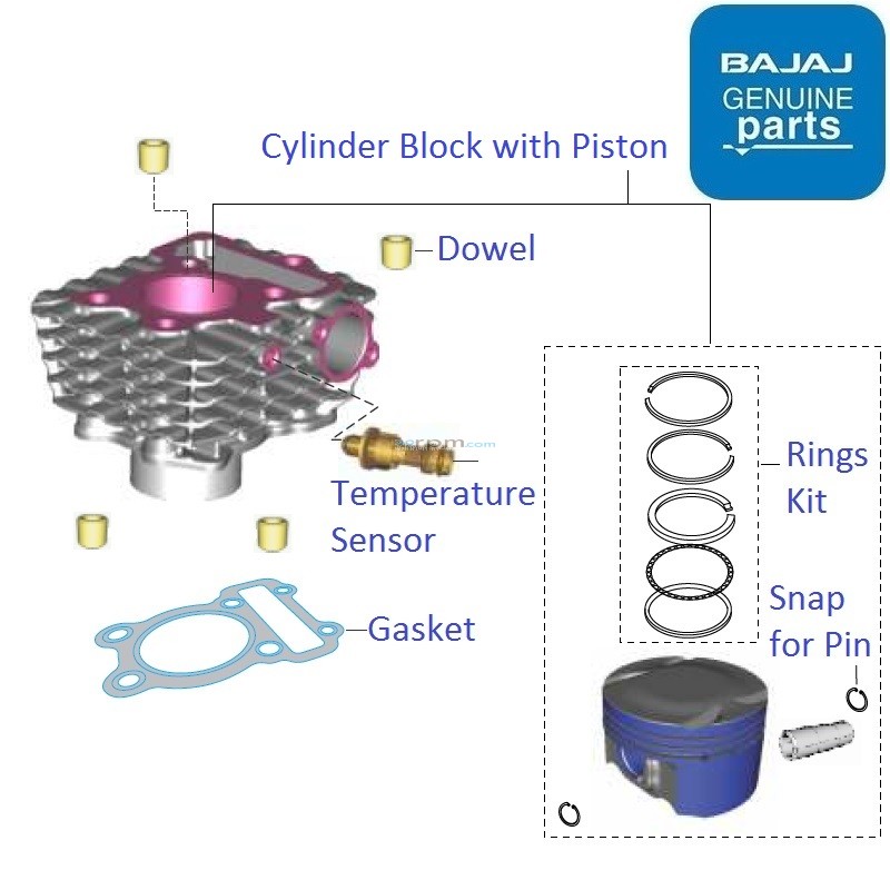 Bajaj Pulsar AS150: Cylinder Block