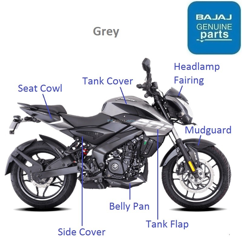 Bajaj Pulsar NS200 (BS6, 2021-2023): Grey Color Theme Painted Parts