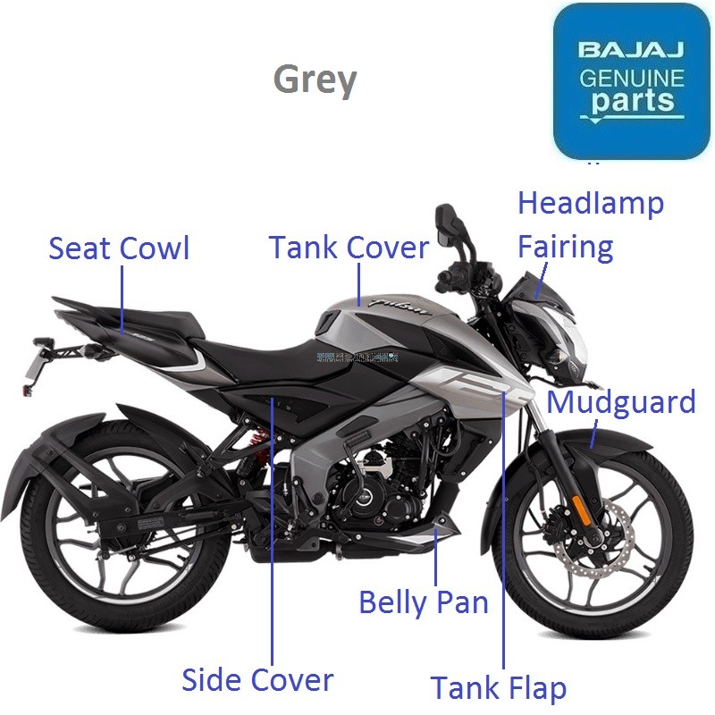 Bajaj Pulsar NS125 (2021-22): Grey Painted Parts