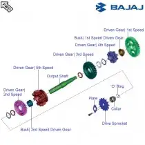 Output Gears - Transmission - Bajaj Parts